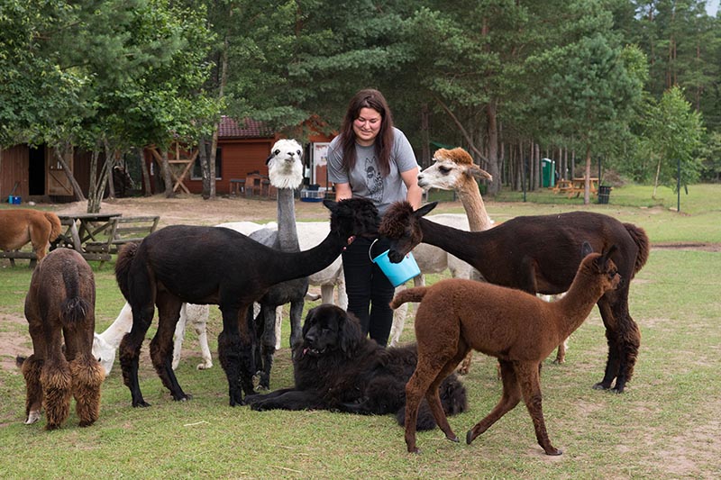 Klaipėdos ir pajūrio naujienos | Vakarų ekspresas