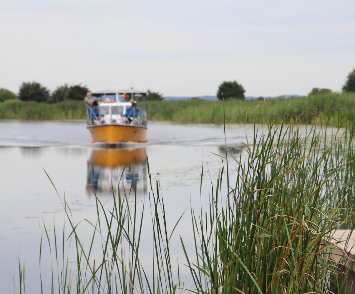 Klaipėdos ir pajūrio naujienos | Vakarų ekspresas