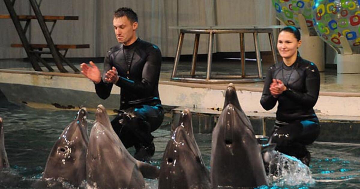 Delfinai atsisveikino