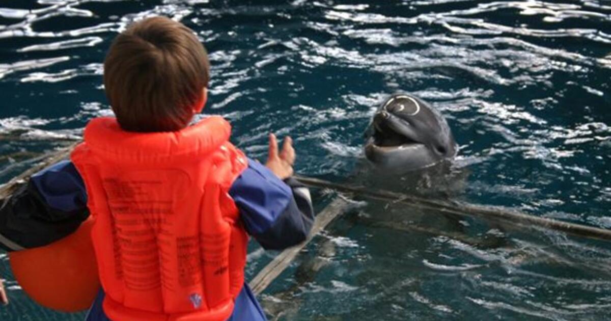 Delfinariumas uždaromas rekonstrukcijai