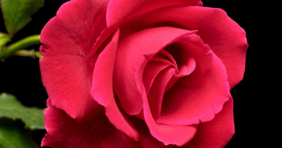 Liepos darbai pagal Mėnulį