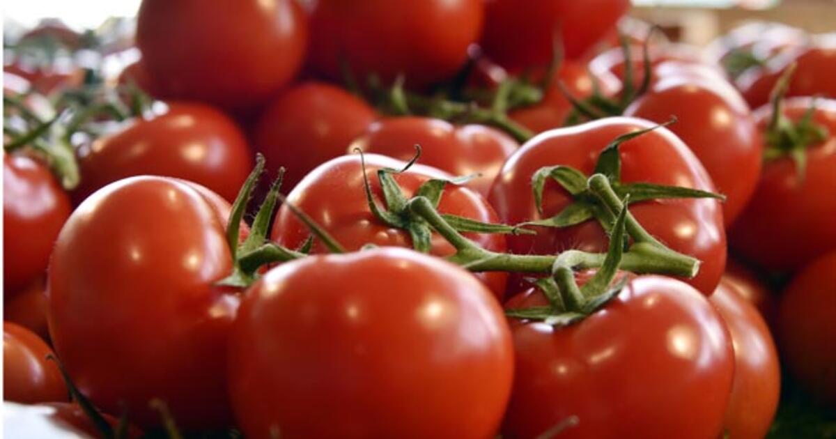 Mistiškasis pomidoras