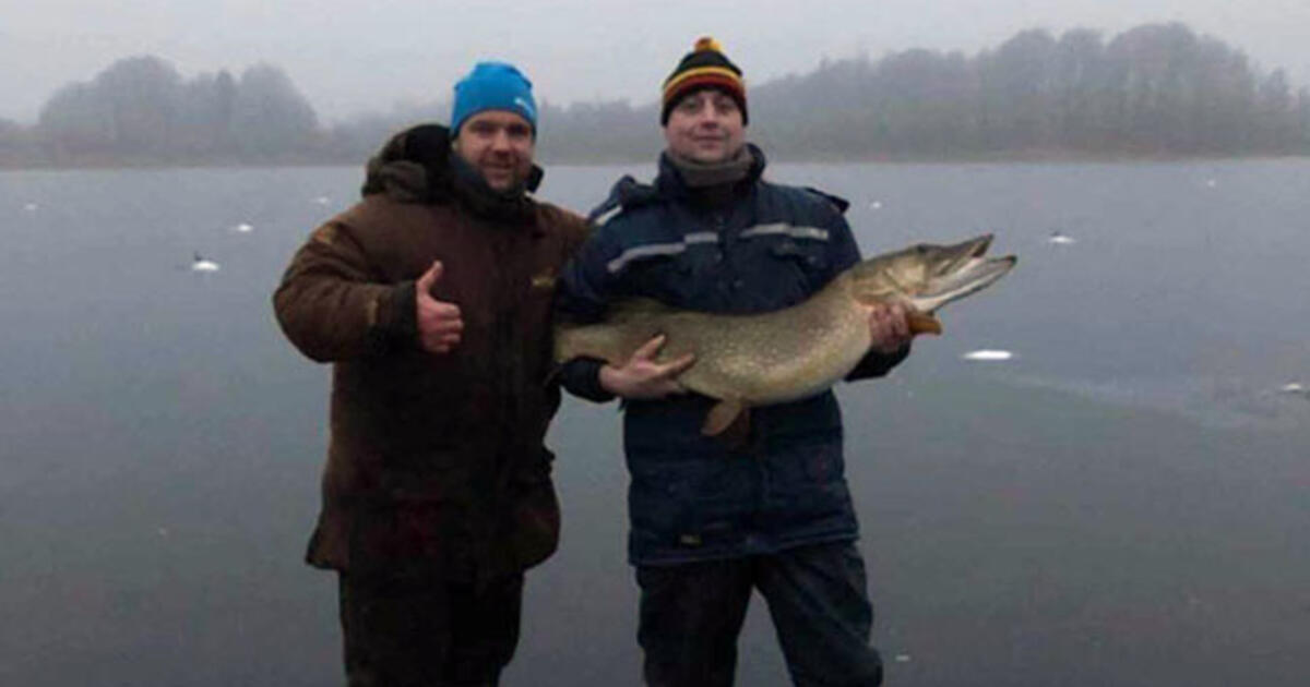 Lipti ant ledo - nesaugu