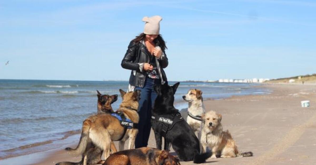 Iš teatro skuba pas gyvūnus: aktorės įkurtoje prieglaudoje – dešimtys ...