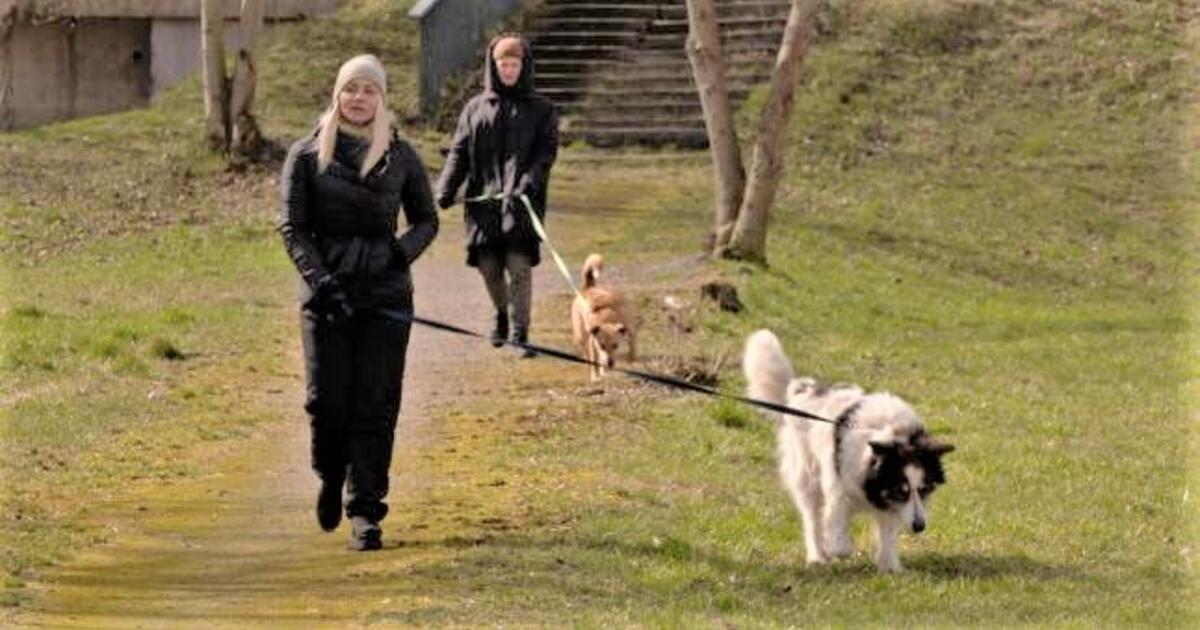 Vaida Genytė atvirai apie praeities žaizdas: bendravimas su ...
