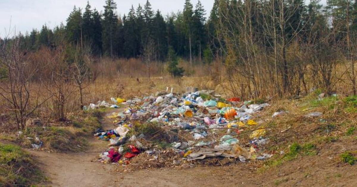 Mokesčiai už aplinkos teršimą: ką reikia žinoti? | Vakarų ekspresas