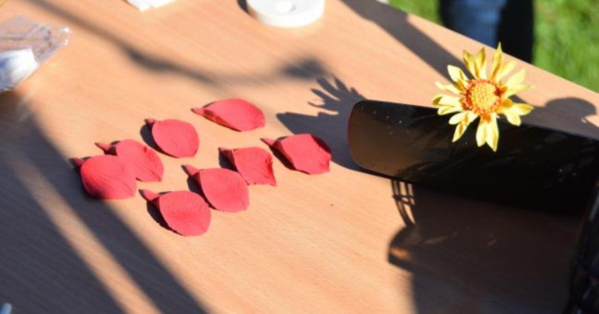 Botanikos sode vyko kūrybinės dirbtuvės „Kaip gimsta gėlės"