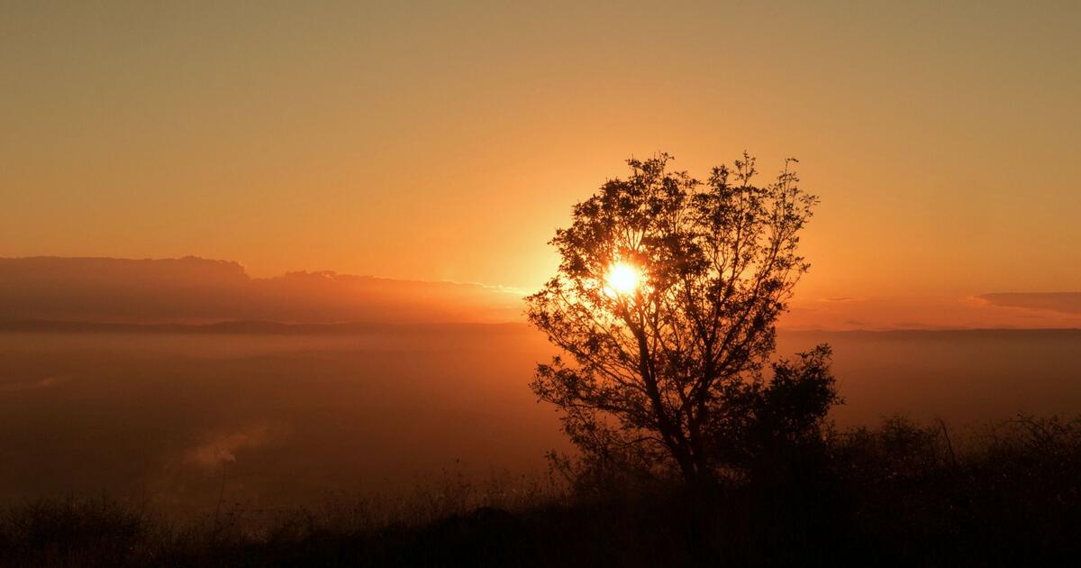 Sisteminė krizė? Savigarba ir Senatas