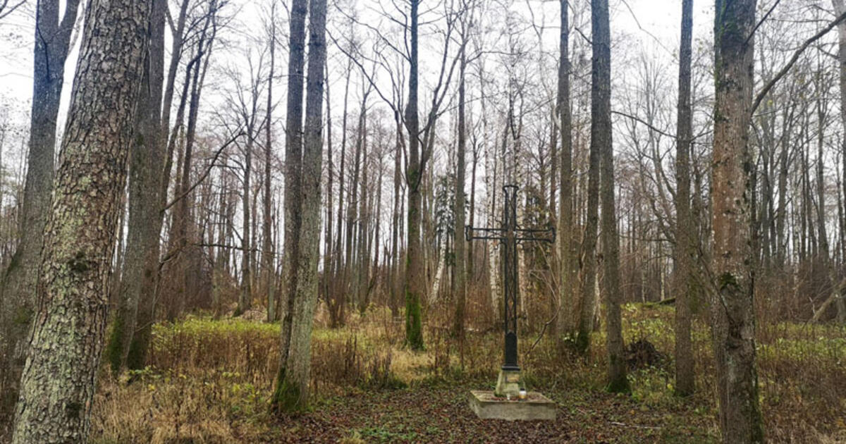 Surasta varpo skeveldra - vilties simbolis karkliškiams