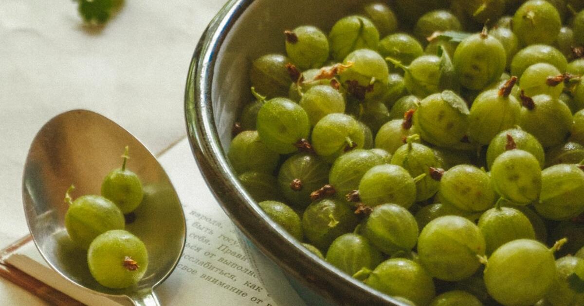 Vitaminų šaltinis – agrastai: naudokite juos ne tik uogienėms