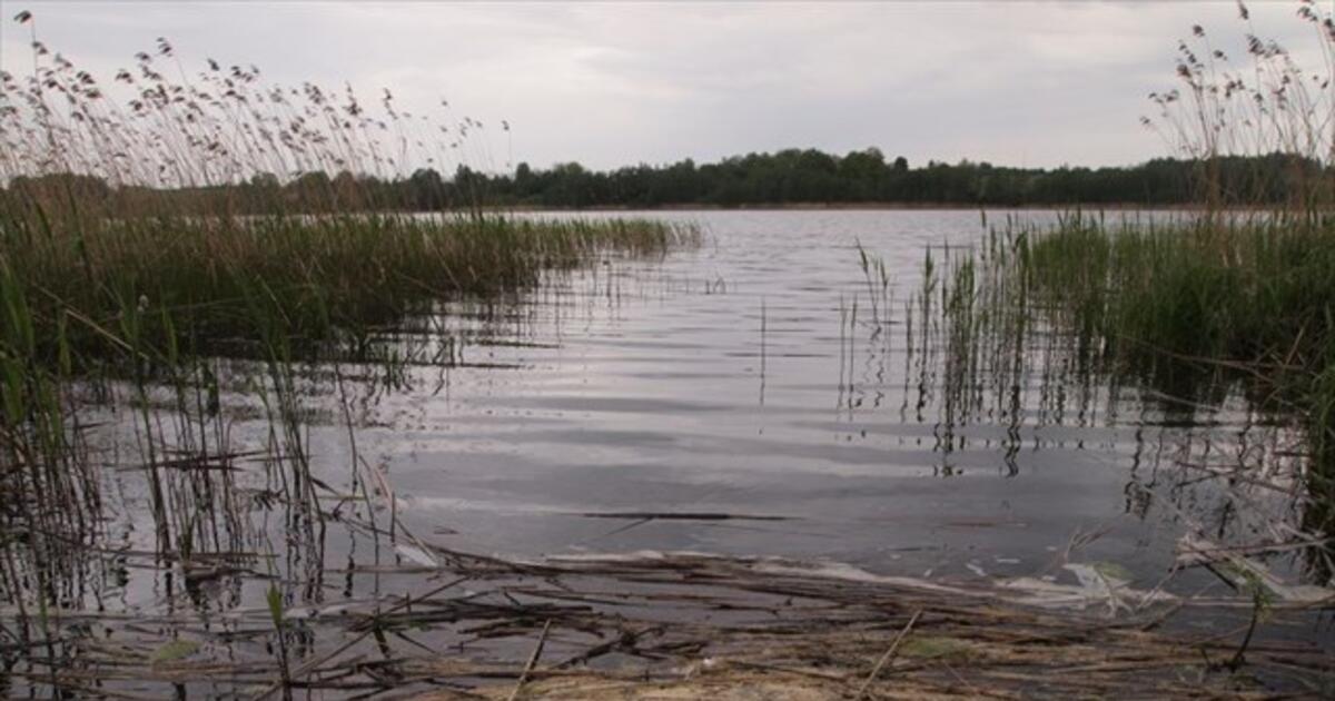 Mirtina žvejyba Latvijos pasienyje: apvirtus valčiai išgelbėtas tik ...