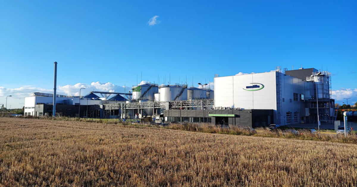 „Mestilla“ smardina mažiau, bet pažeidimų nustatoma