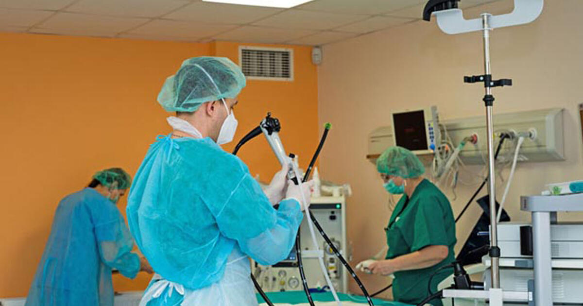 Ar jums reikalinga kolonoskopija? Štai, ką rodo naujausi tyrimai