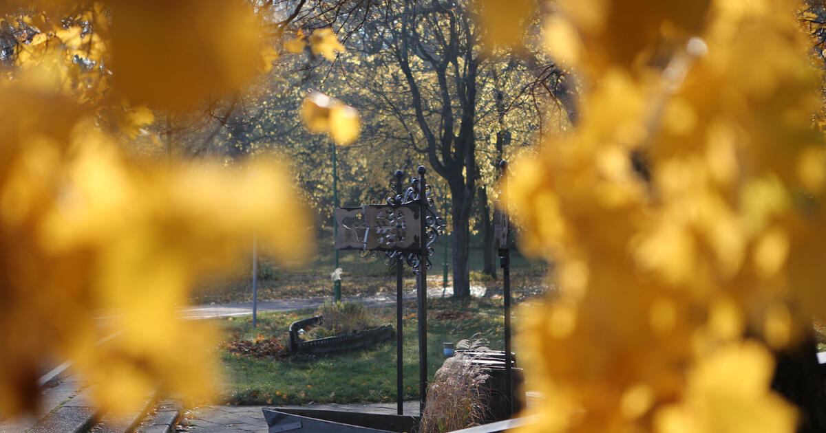 Pasidžiaukite rudenėjančia gamta: kokius parkus verta aplankyti ...