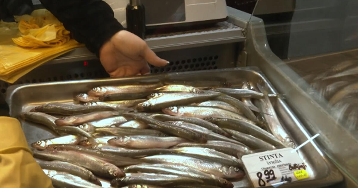 Klaipėdiečiai pasiilgo stintų: vos keli kilogramai dingsta per porą minučių