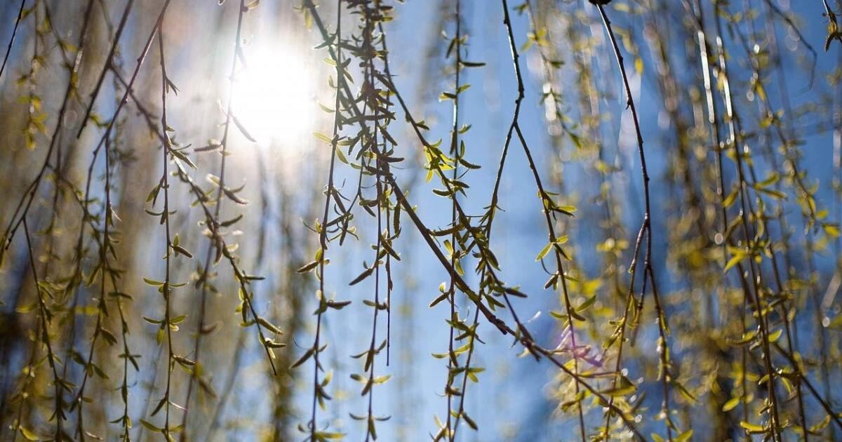 Nori - tikėk: dienos patarimai, liaudies prietarai ir ko geriau ...
