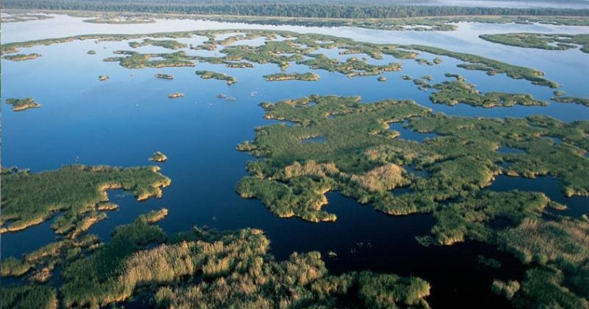 Žuvinto biosferos rezervate nustatytas paukščių gripas, gaišta kirai