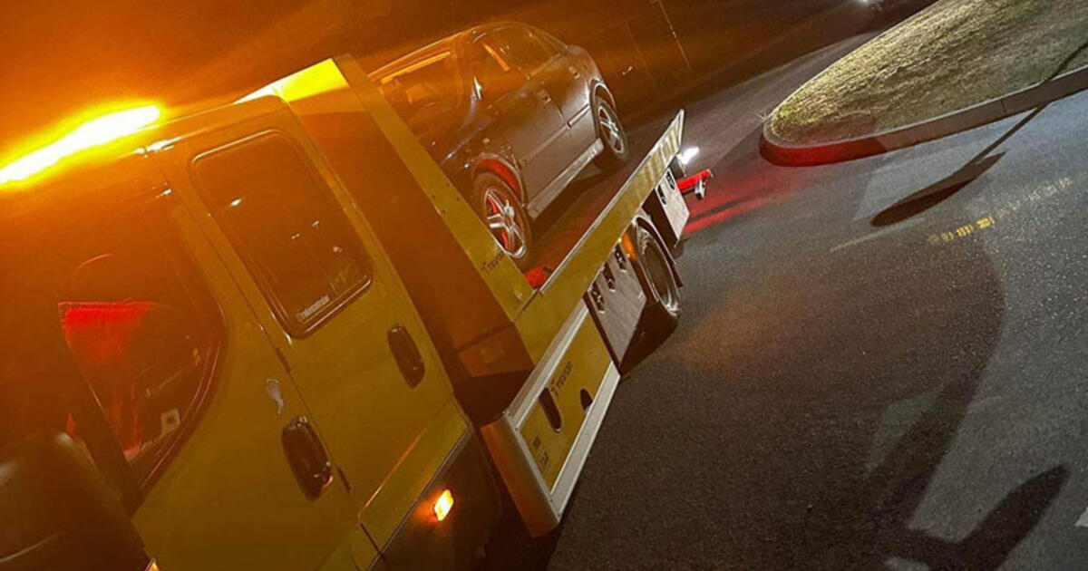 Žemaitiškas užsispyrimas