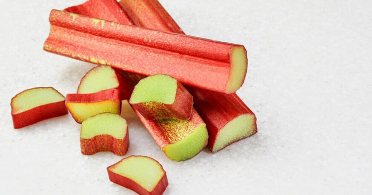 Pirmieji švieži rabarbarai: kuo jie naudingi, kaip išsirinkti ir kada ...