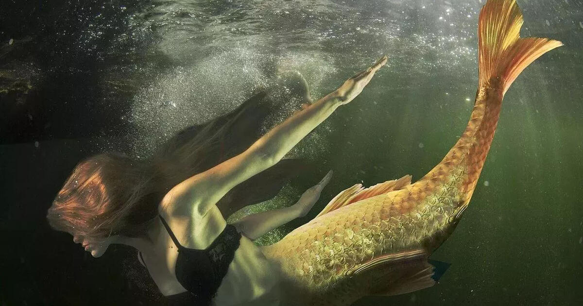 Stora, plaukuota ir be rankų: kaip undinėlė atrodytų realiame pasaulyje