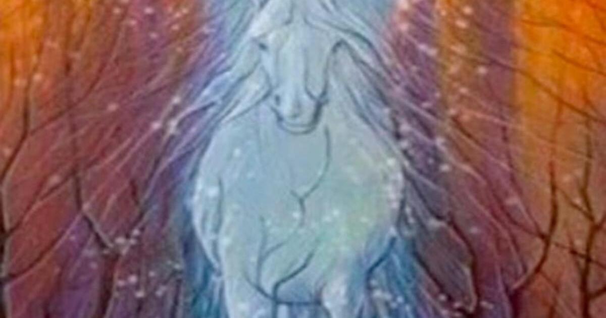Arklys, pūga ar medžiai: nauja optinė iliuzija atskleis jūsų asmenybės ...