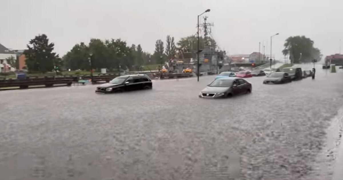 Liūtis Klaipėdoje buvo stichinė - meteorologai
