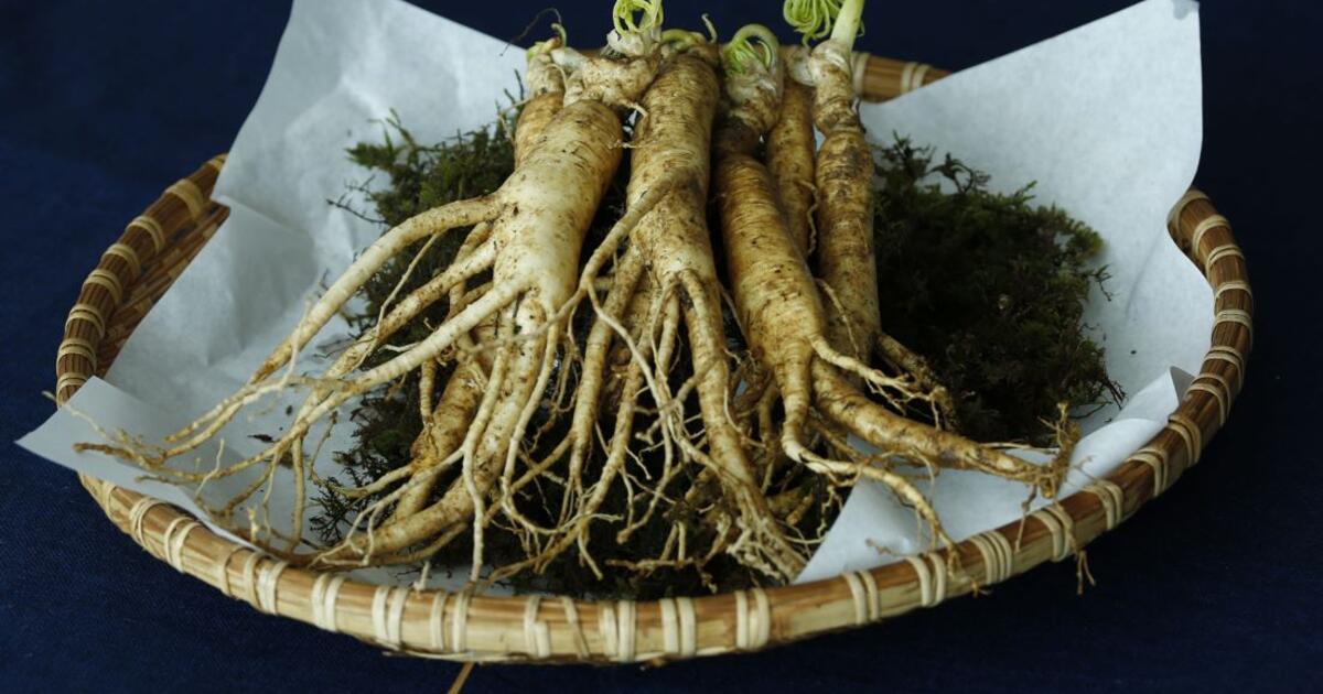 Ženšenis: natūralus adaptogenas jūsų sveikatai