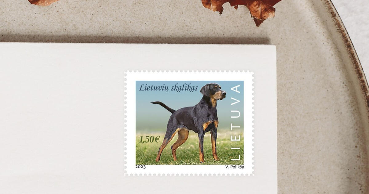 Lietuvos paštas išleidžia pašto ženklą „Lietuvių skalikas"