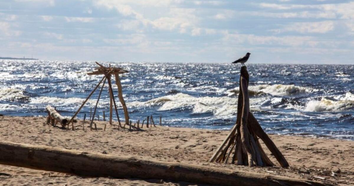 Baltijos jūros pakrantei gresia pavojus: mokslininkas įspėja apie ...