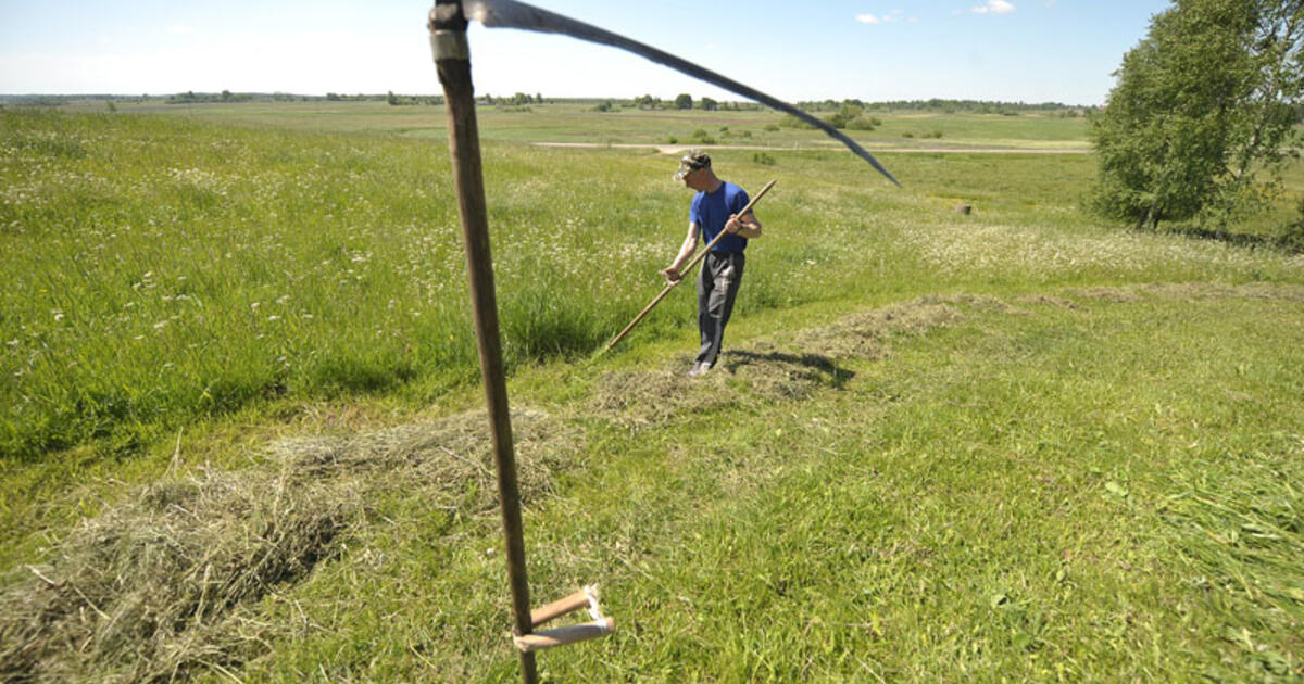 Bulvaras: nejuokinga - dalgis irgi turtas | Vakarų ekspresas