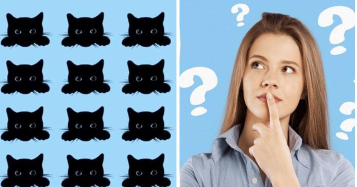 Dar viena optinė iliuzija: per 5 sekundes suraskite skirtingą katę ...