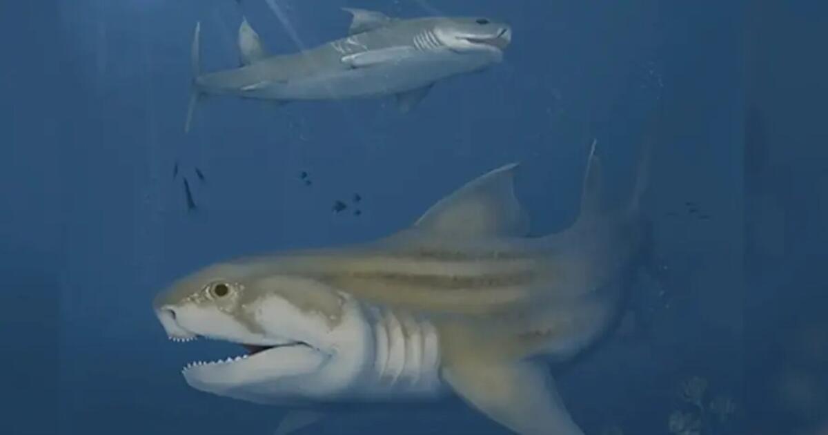 686 kilometrų ilgio urvo paslaptis: tamsiuose kampeliuose slėpėsi dvi ...