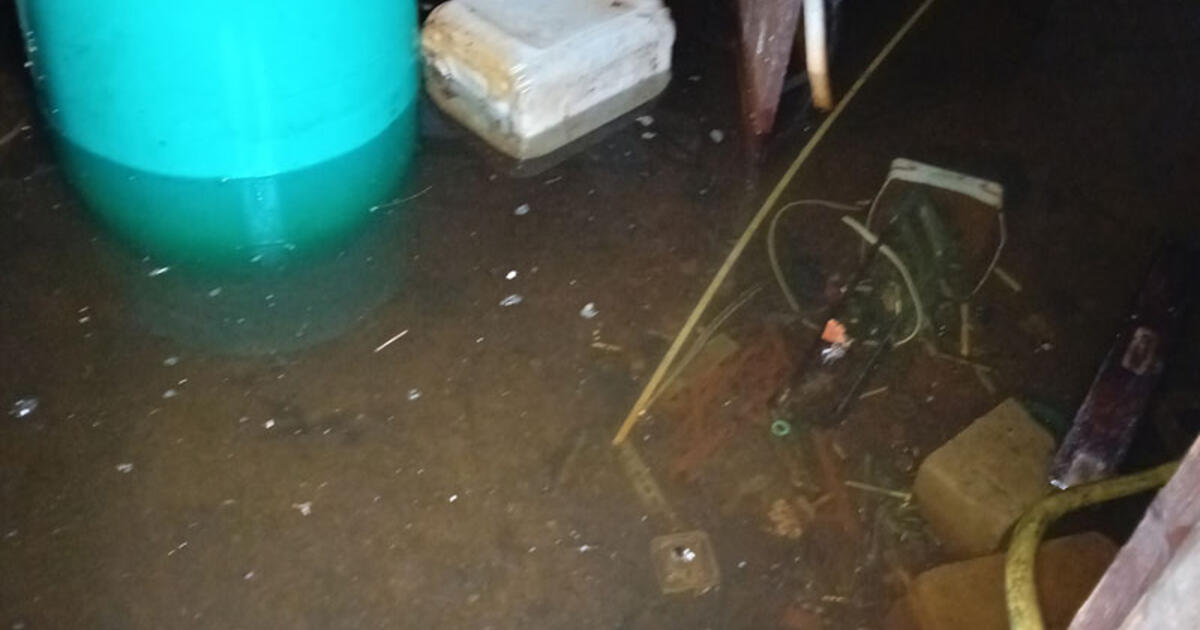 Dituvos sodai: nėra rūsio, nėra problemos