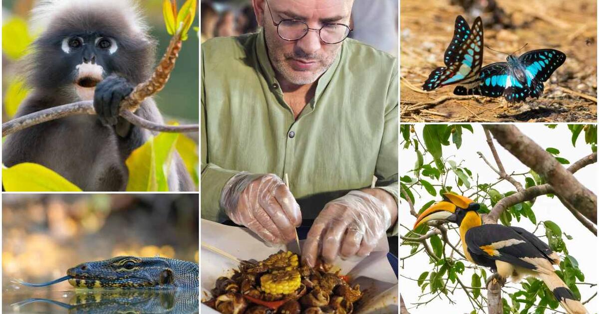 Gamtininko Mariaus Čepulio klajonės Tailande: „Reiktų išmesti visokius ...