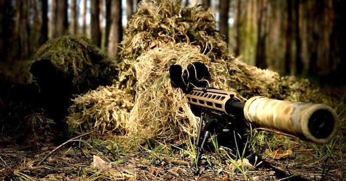 Karybos ekspertai: Miražas Ukrainos danguje - Sakalai ir Grifonai