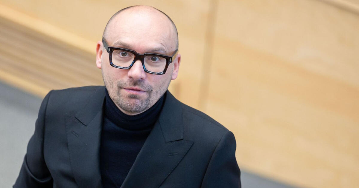 Matas Maldeikis neabejoja, kad informacija apie Moniką Navickienę atėjo ...