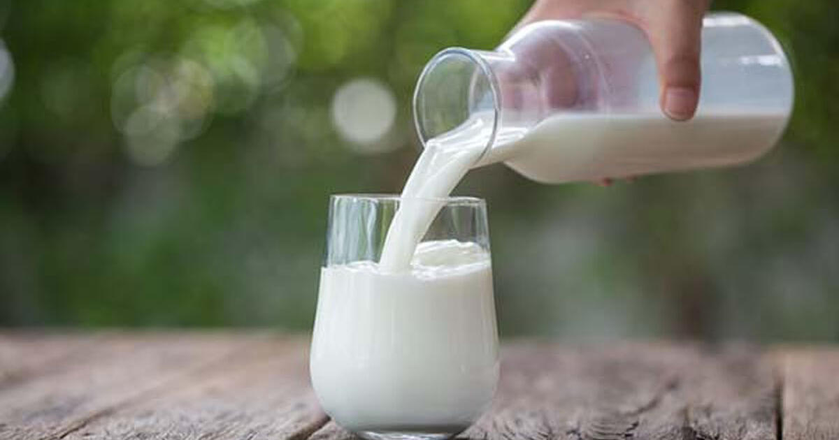 Daugiau kalcio nei stiklinėje pieno: išsamus alternatyvių produktų sąrašas