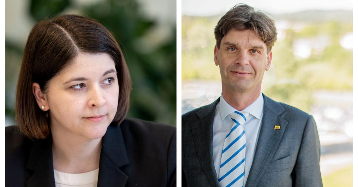Kandidatų ginčas dėl mokesčių: Ignas Vėgėlė siūlo mažinti GPM, Gintarė ...