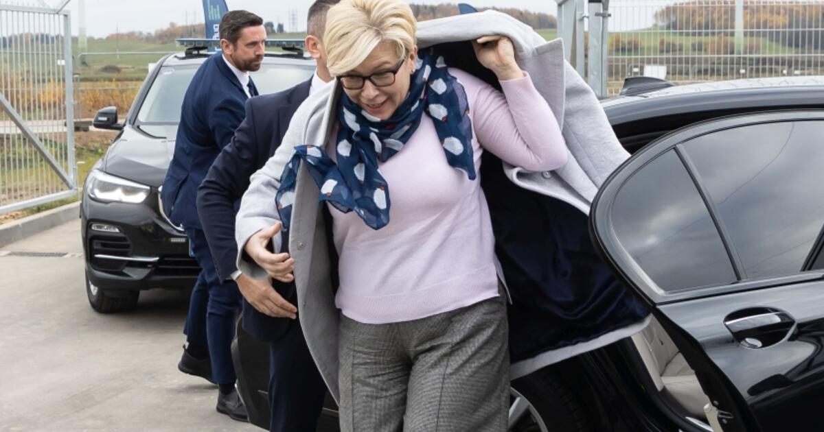 Ingrida Šimonytė: gyvenime nesu mačiusi nei Ievos Trinkūnaitės, nei ...