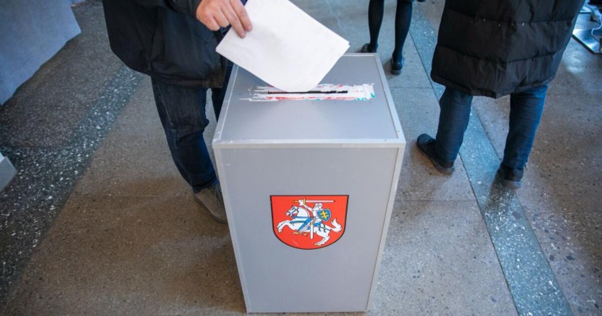 2024-ųjų Seimo rinkimų antras turas – pagrindiniai faktai