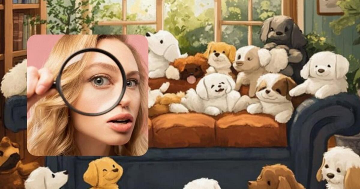 Smagus loginis testas: tarp žaislų suraskite tikrą šunį