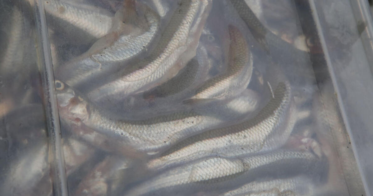 Prekyboje - pirmoji stinta šį sezoną