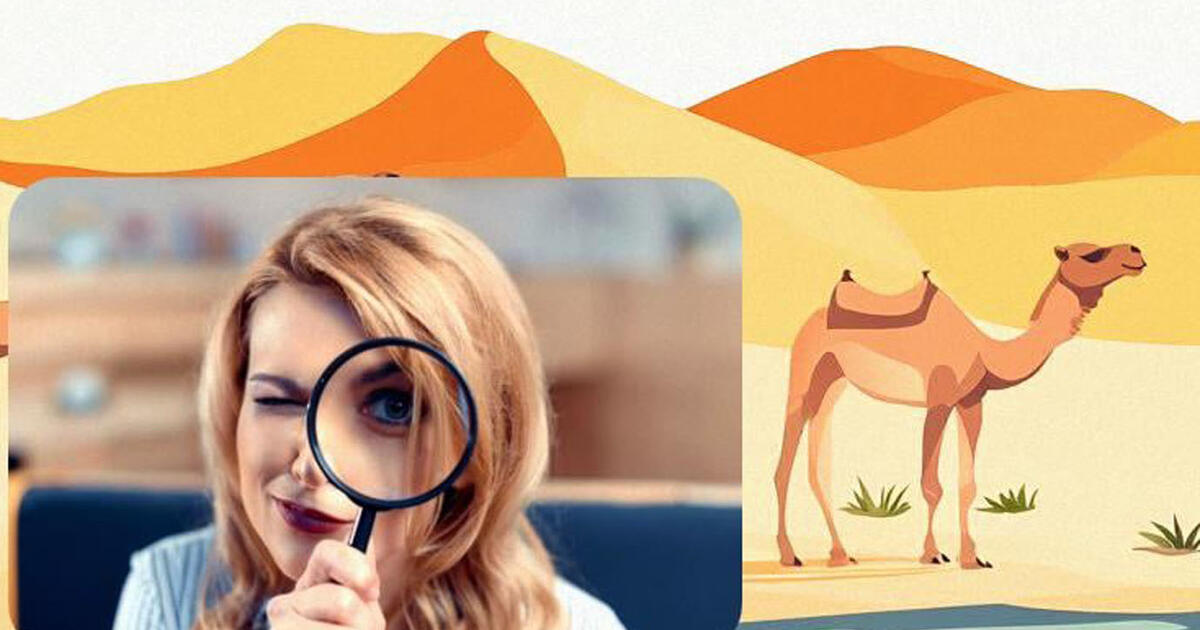 Ar matote klaidą dykumoje: įdomus intelekto testas per 5 sekundes