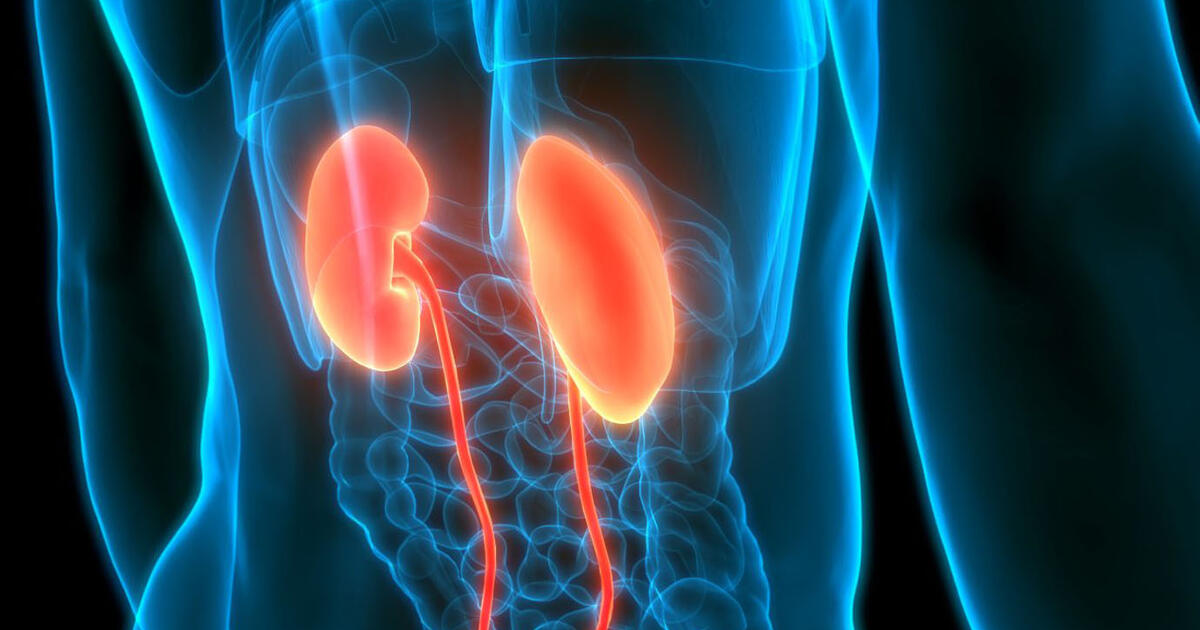 JAV trečiai pacientei transplantuotas kiaulės inkstas