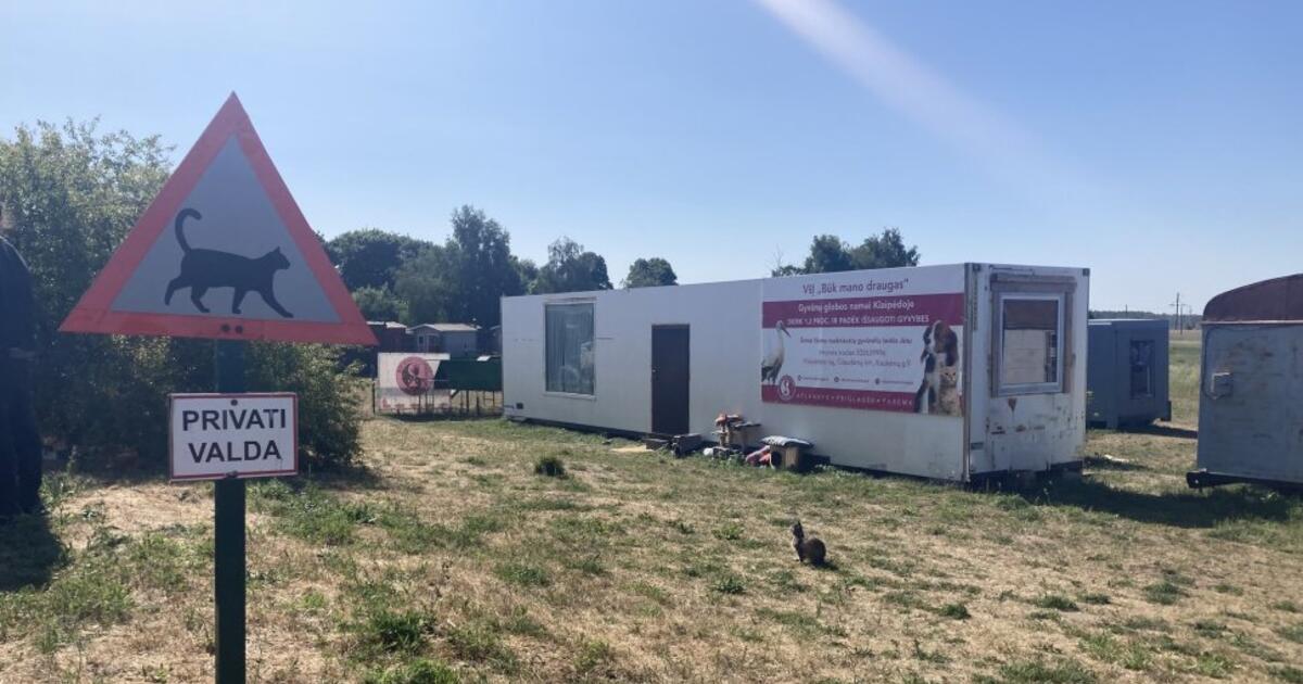 Klaipėdos rajone užsidegė vagonėlis prieglaudoje: žuvo ir dalis gyvūnų