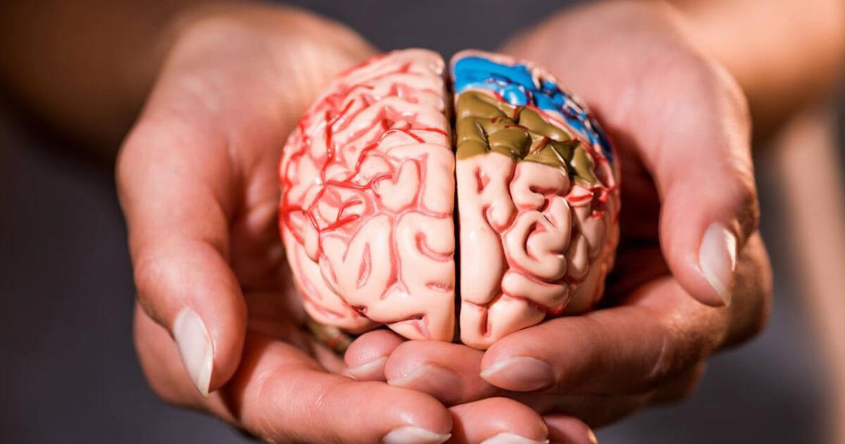 Kaip apsaugoti smegenis nuo spartaus senėjimo - mokslininkai pateikia ...