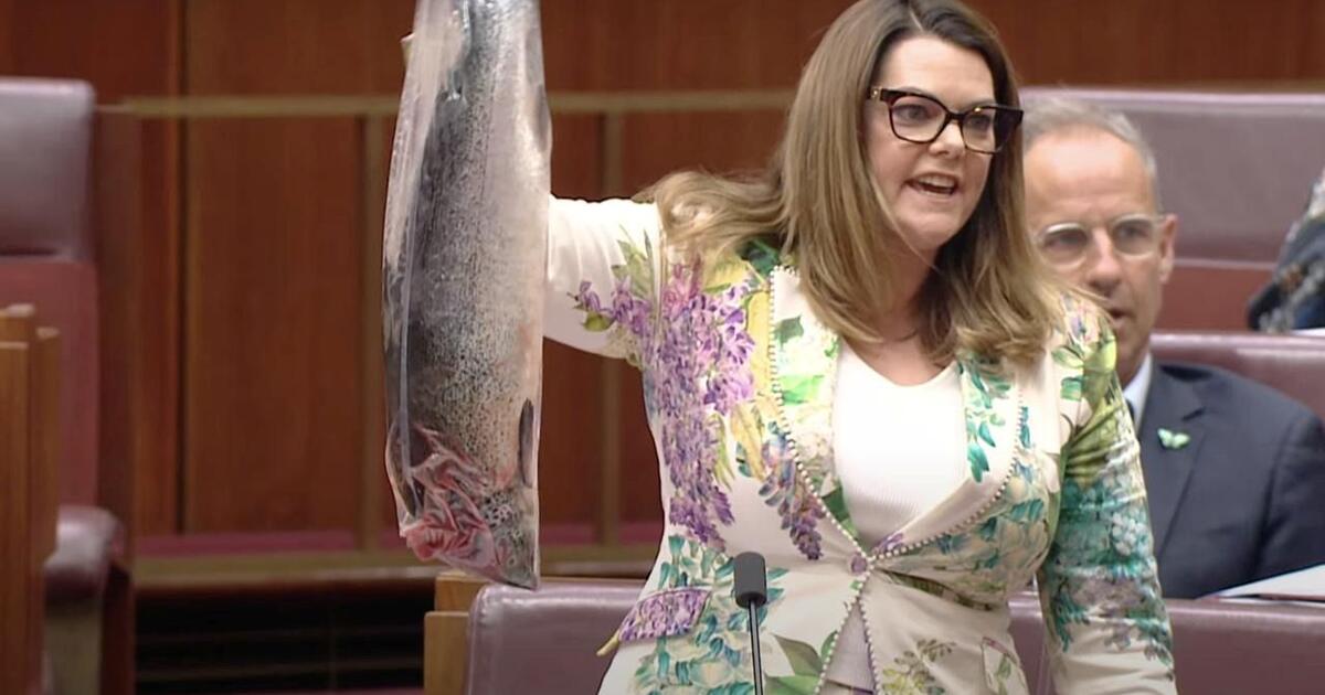 Įstatymų leidėja pribloškė Senatą mosikuodama negyva lašiša