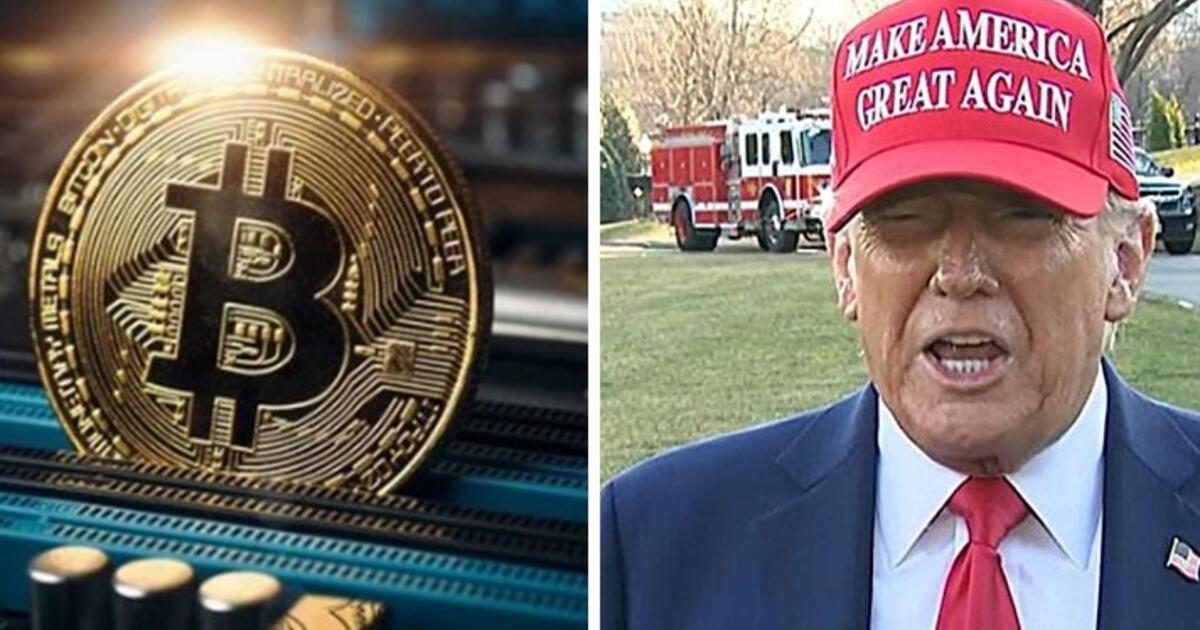 Kaip senas sukčius Trumpas ir Muskas uždirba šimtus milijonų | Vakarų ...