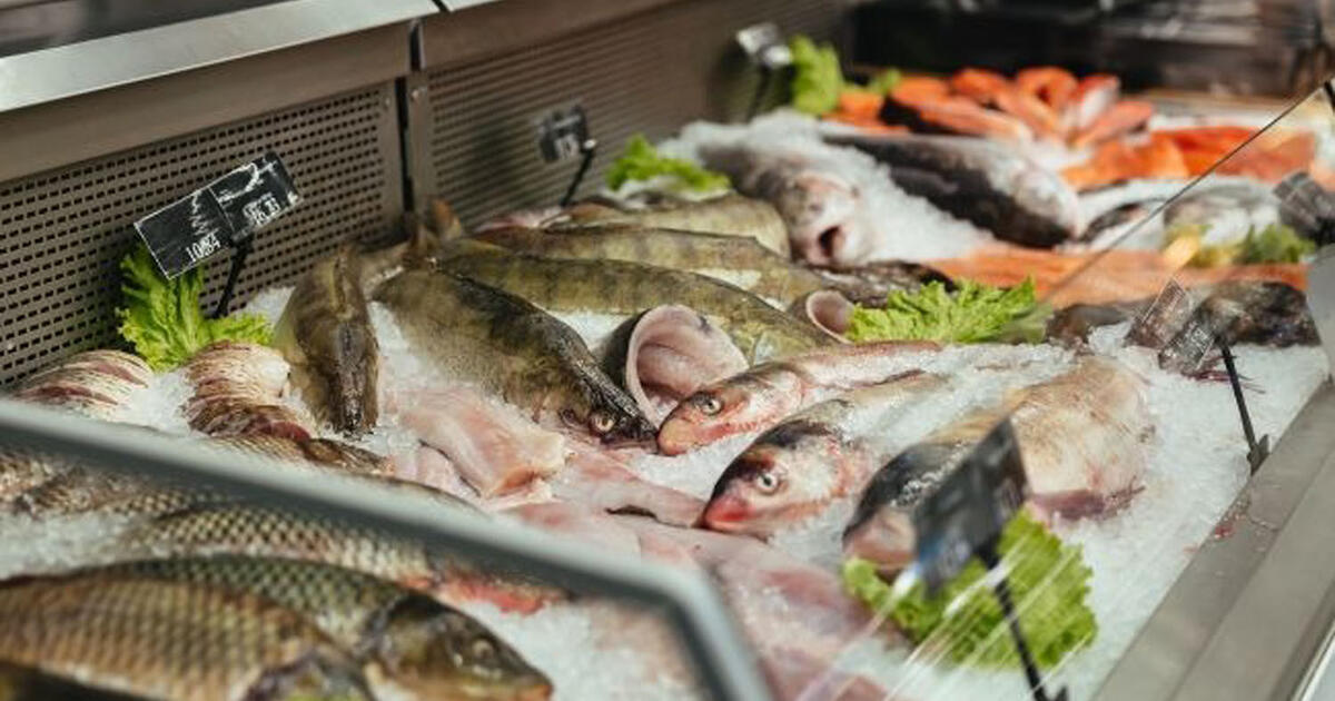 Kuri žuvis naudingiausia širdžiai ir smegenims: dietologai įvardijo 6 ...