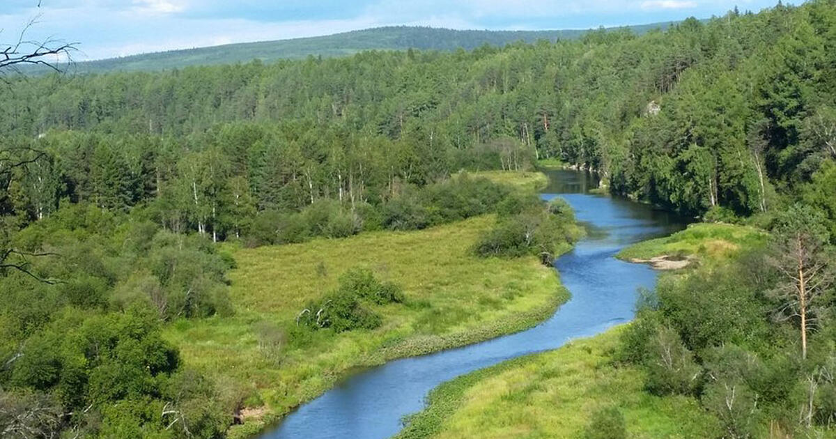 Kurią upę pasirinks tikrai geri žmonės: vaizdingas asmenybės testas